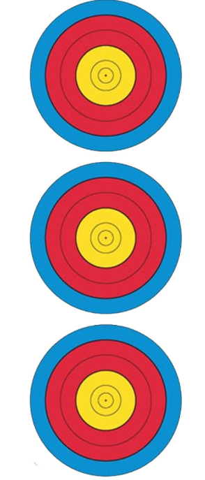 18 M. VERTICAL TARGET FACE – ArcheryThai