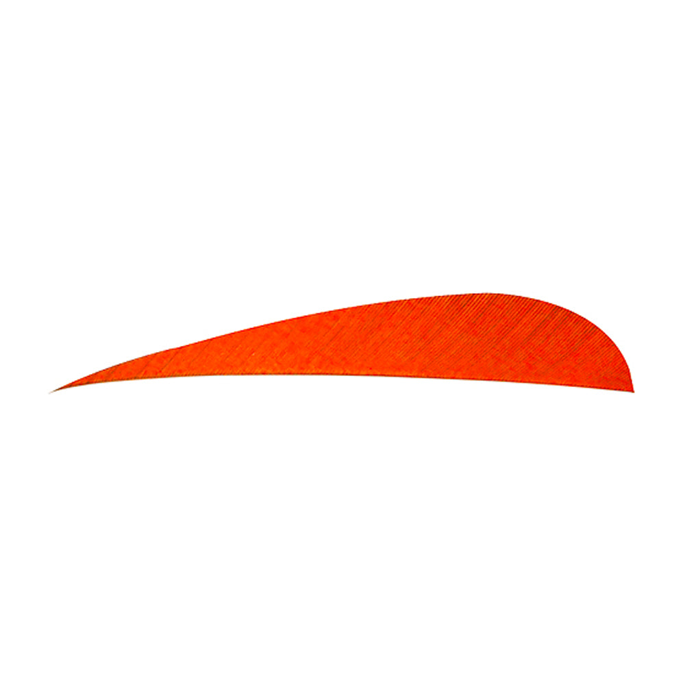 TRUEFLIGHT FEATHER 4 INCH – ArcheryThai